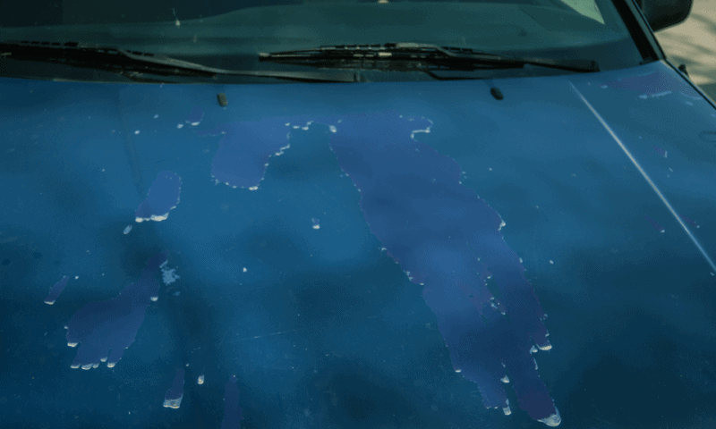 A Beginners Guide to Fixing Clear Coat Damage – What Causes Oxidation