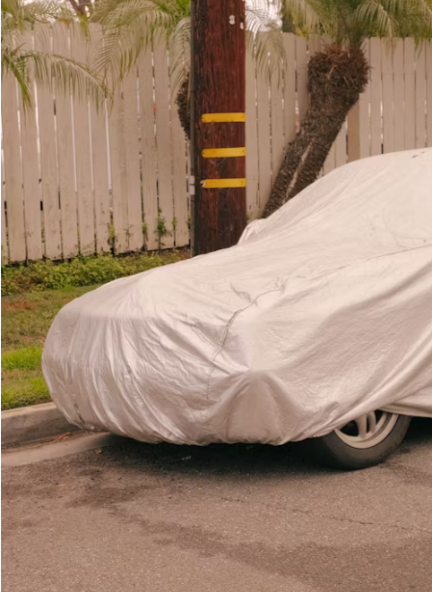 Protecting Your Car's Paint in Fall from Leaf Stains – AvalonKing
